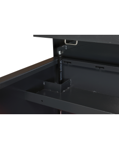 Colony Hardware | 1000N Gas Strut with 12'' Stroke